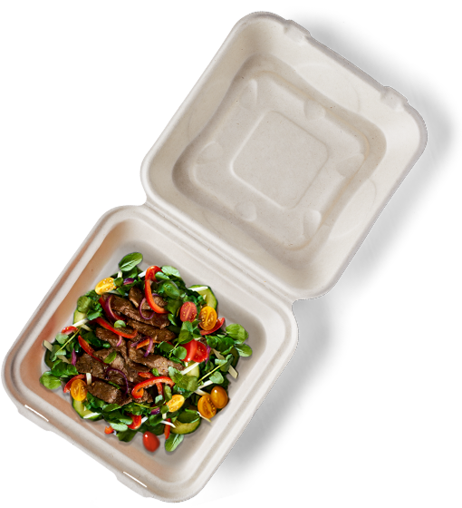 Delivering Protein-Packed Success